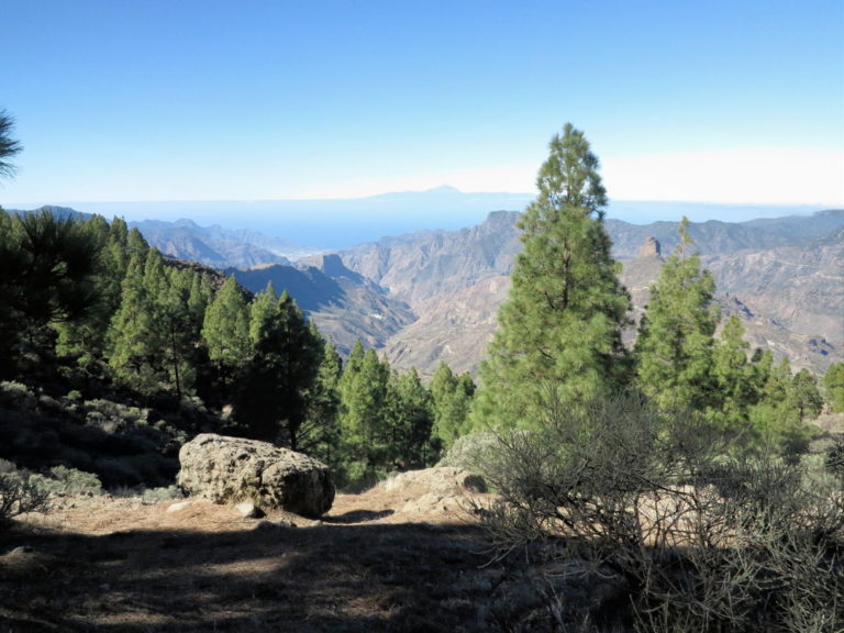 Vom Aserrador zum Roque Nublo | wildnis-wandern.de