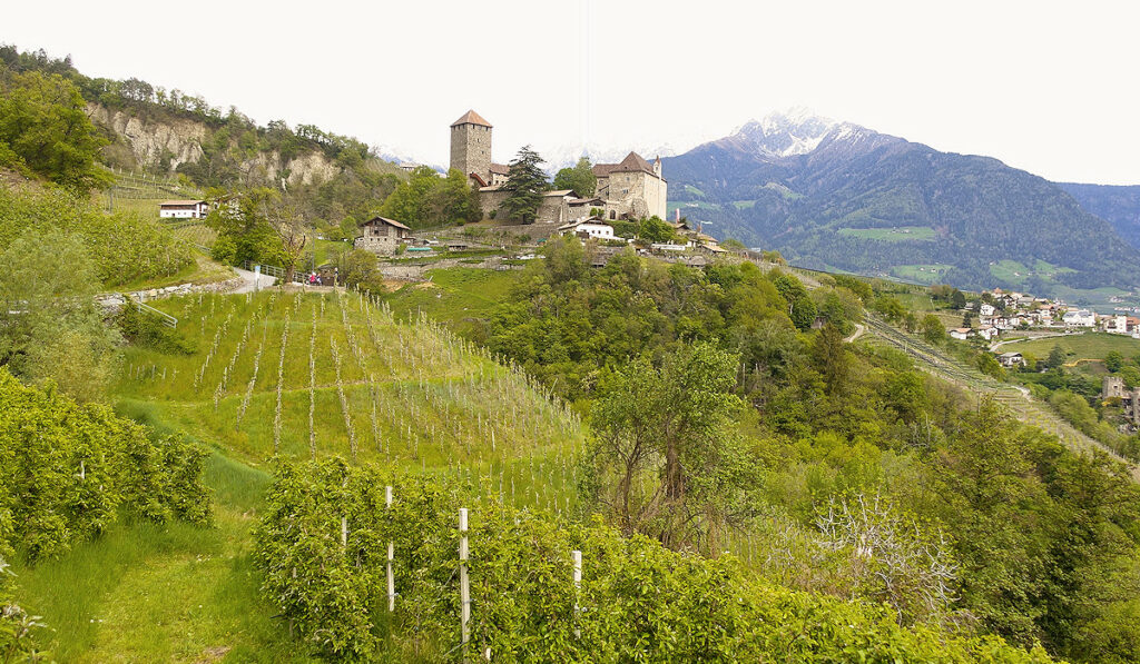 Meran - Dorf Tirol | wildnis-wandern.de