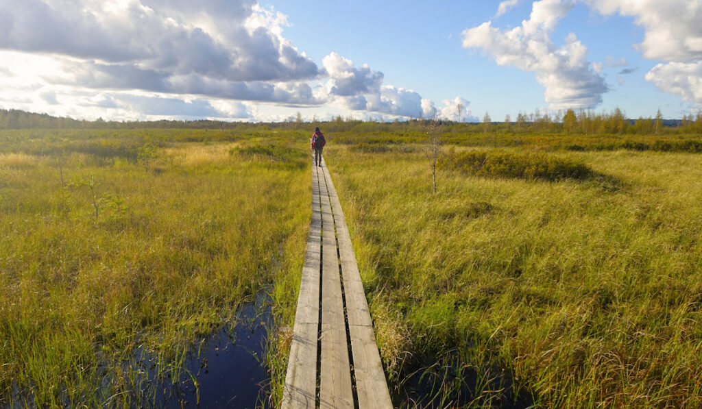 Store Mosse Nationalpark | wildnis-wandern.de